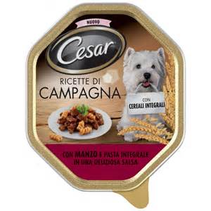 Cesar product distribution
